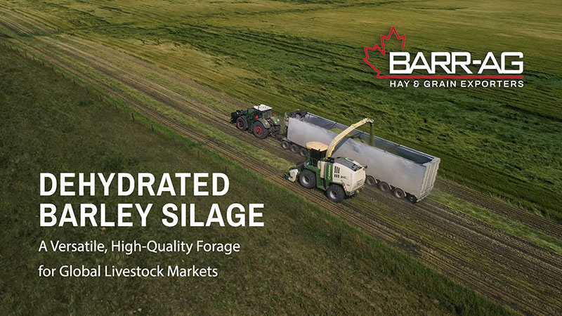Barley Silage: High-Quality Forage for Global Livestock Markets